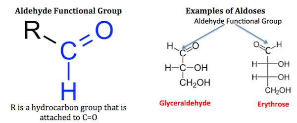 Monosaccharides Definition Structure And Examples Video And Lesson
