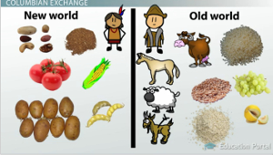 Columbian Exchange Food Crops