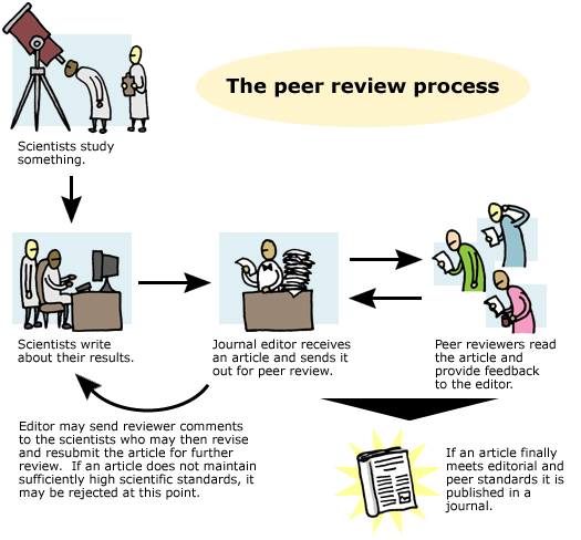 What Is Peer Review In Science Definition Process Examples 