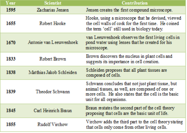 Robert Hooke Biography Facts Cell Theory Contributions Video Robert Hooke Biography Facts Cell Theory Contributions Video