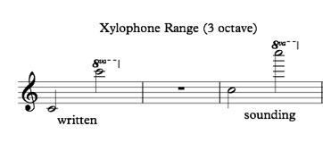 Xylophone: History & Facts | Study.com