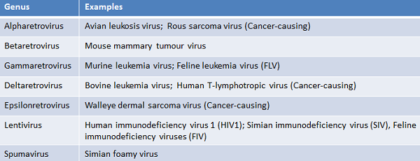 Retrovirus: Definition, Life Cycle & Example | Study.com