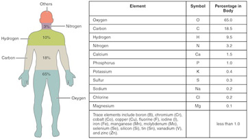 Trace Elements: Definition & Explanation - Video & Lesson Transcript ...