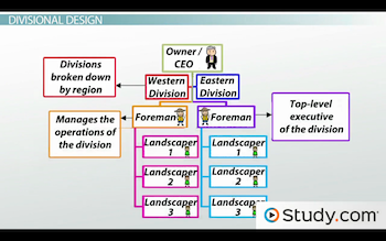 Types of Traditional Organizational Designs: Simple, Functional ...