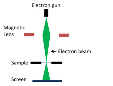 What is an Electron Microscope? - Definition, Types & Uses | Study.com