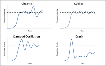Carrying Capacity of a Population: Definition & Explanation - Video ...