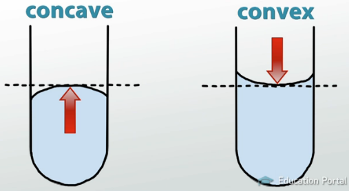 What Is a Meniscus? - Definition, Uses & Lab Examples - Video & Lesson ...