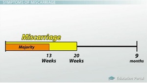 Miscarriage Symptoms At 15 Weeks