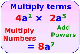 Monomial: Definition, Examples & Factors | Study.com