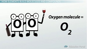 How Compounds and Molecules Are Built From Elements - Video & Lesson ...