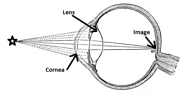 What is Refraction? - Definition, Causes & Examples | Study.com