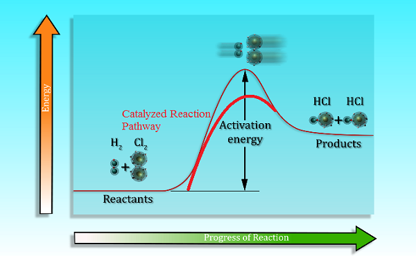 Chemical Reaction Catalyst: Rates & Overview | Study.com