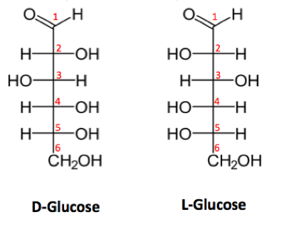 Monosaccharides: Definition, Structure & Examples - Video & Lesson ...