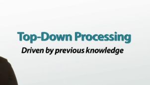 Attention and Top-Down vs. Bottom-Up Processing - Video & Lesson ...