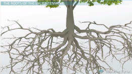 Root Cap: Function, Definition & Quiz | Study.com