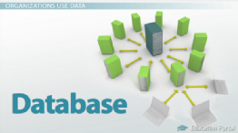 What are Databases? - Examples, Types & Quiz - Video & Lesson ...